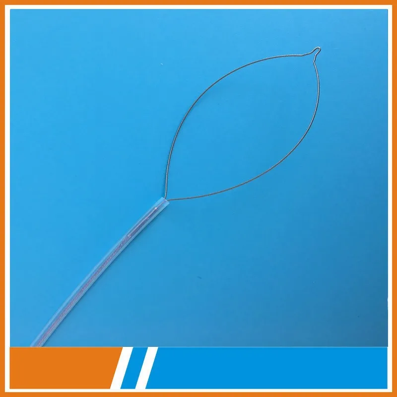 Disposable Endoscopic Hexagonal Polypectomy Snare - Buy Disposable ...