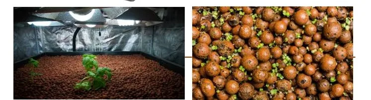 Leca Granules - Durable, Efficient Garden Soil Fertilizer