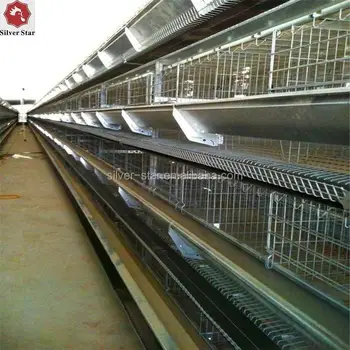 Fully Automatic H Type Commercial Chicken Laying Cage (manufacturer ...