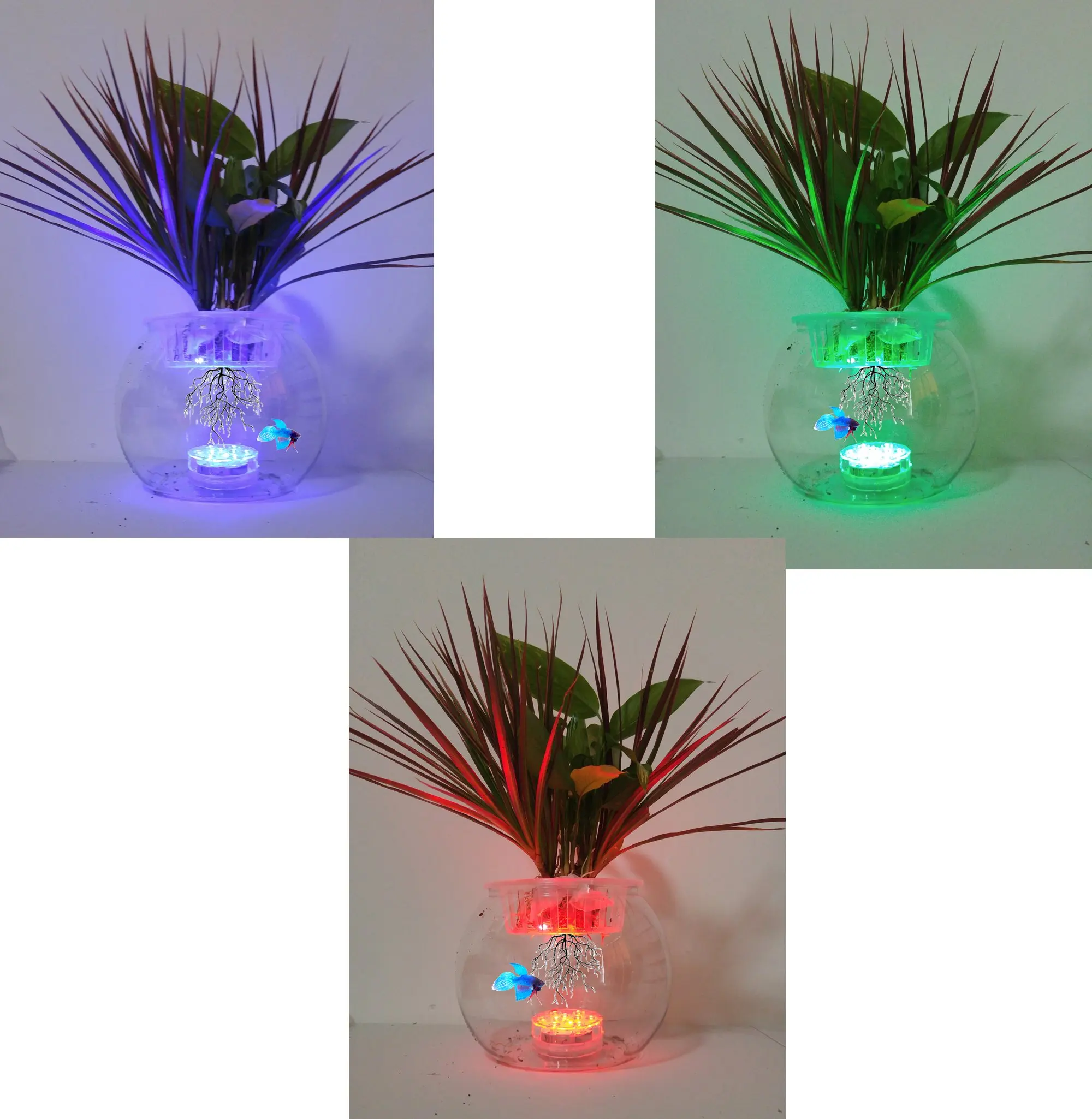 Buy CPS All In One Aquaponic Fish Bowl Waterproof LED Light Base Buy CPS All In One Aquaponic Fish Bowl Waterproof LED Light Base