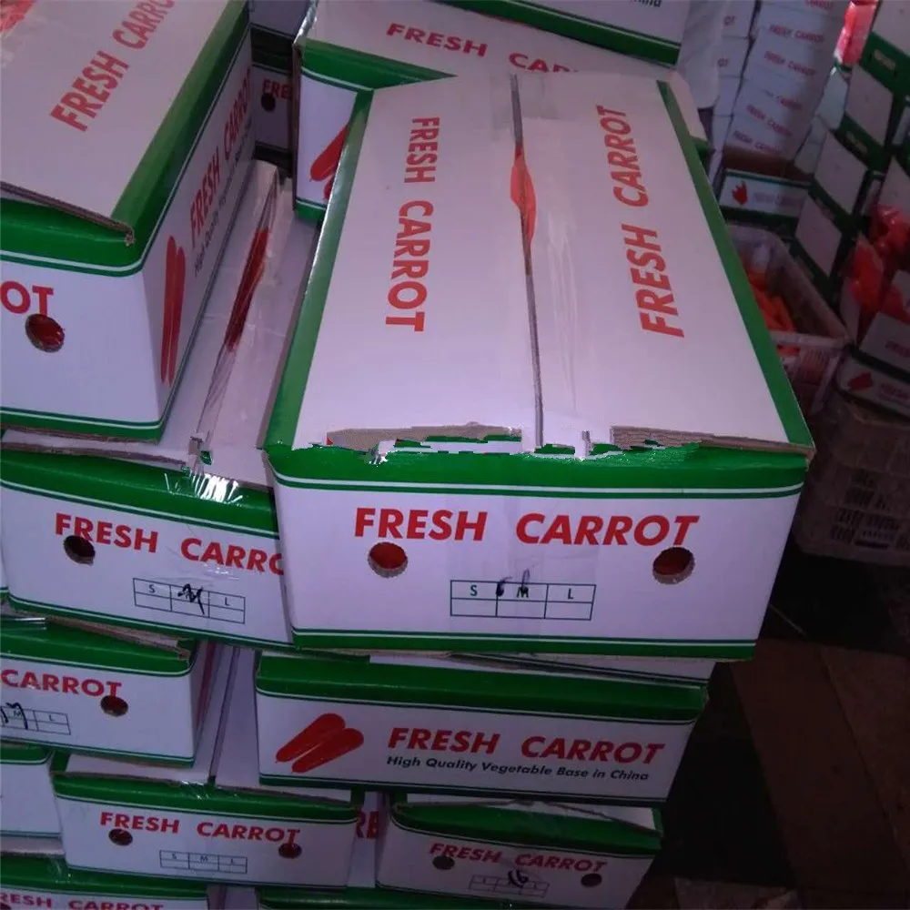 Large Supply Of Malaysian Carrots,Fresh Carrots In 4.5kg Carton - Buy ...