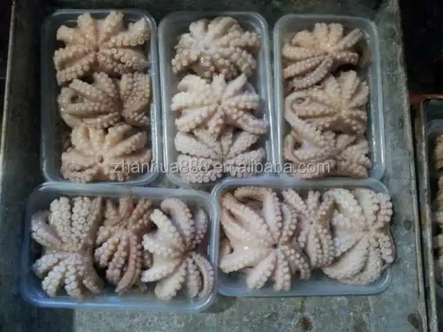 Fresh Live Frozen Octopus Baby Flower Wholesale Price - Buy Frozen ...
