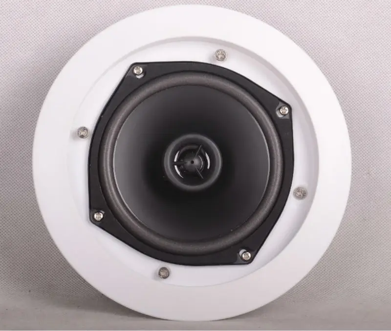 Ce Certified Hsr108-8t 100v 40w Coaxial Ceiling 8 Inch Speakers - Buy 8 ...