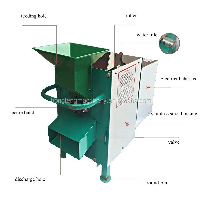 Snail Tail Cutting Processing Machine | Snail Shelling Machine | River ...