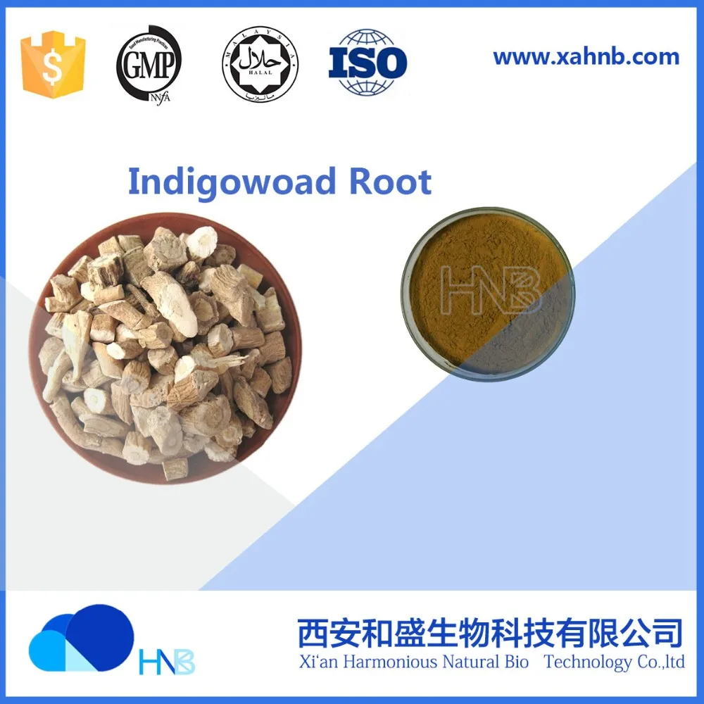 Natural Indigowoad Root Extract Isatis Tinctoria Extract Powder - Buy ...