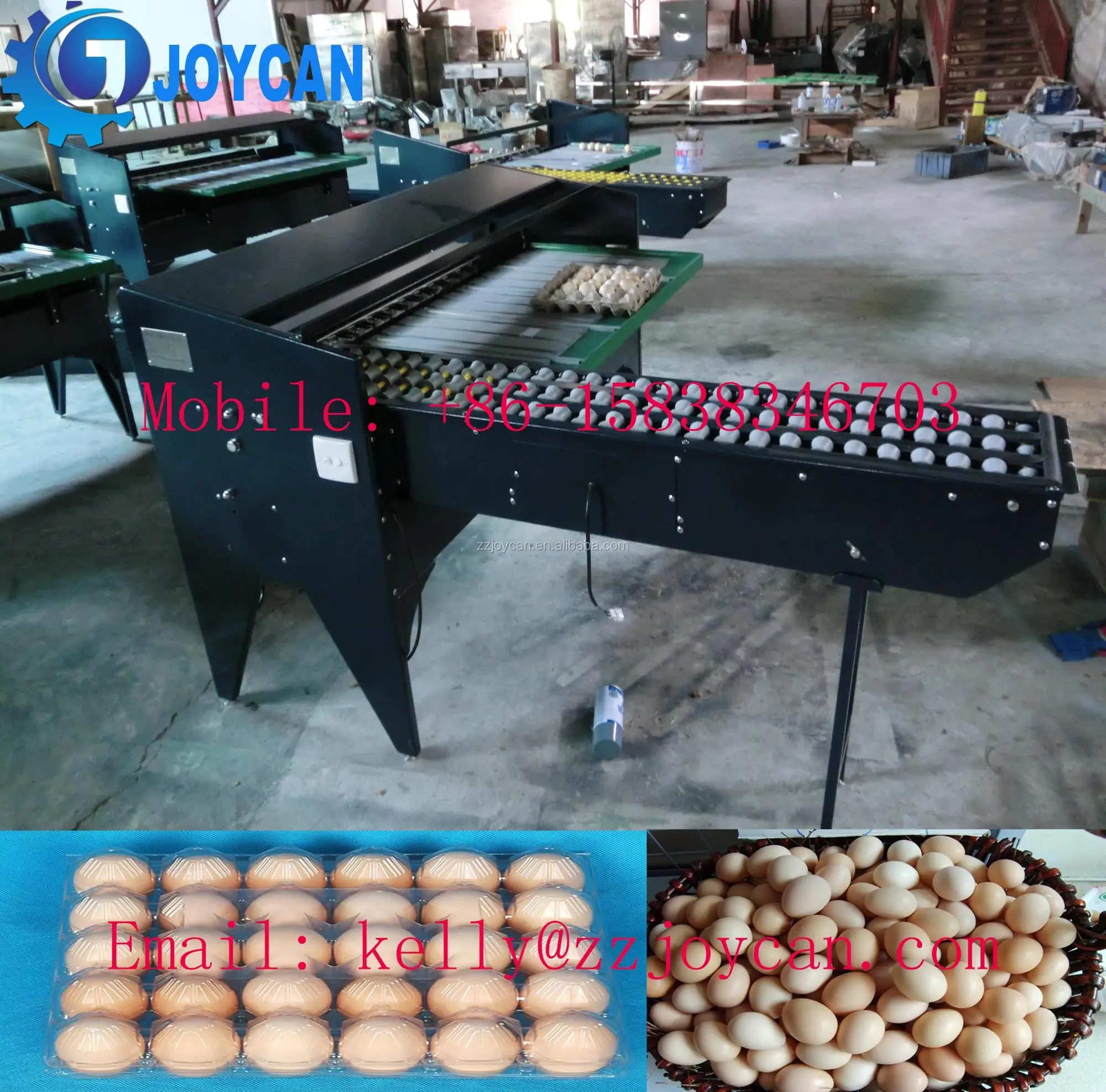 Automatic Chicken Egg Grading Machine - Efficient & Reliable