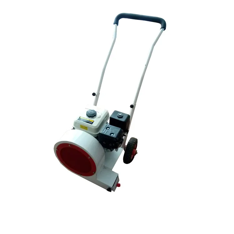 Efficient Asphalt Cleaning with Small Concrete Road Blower