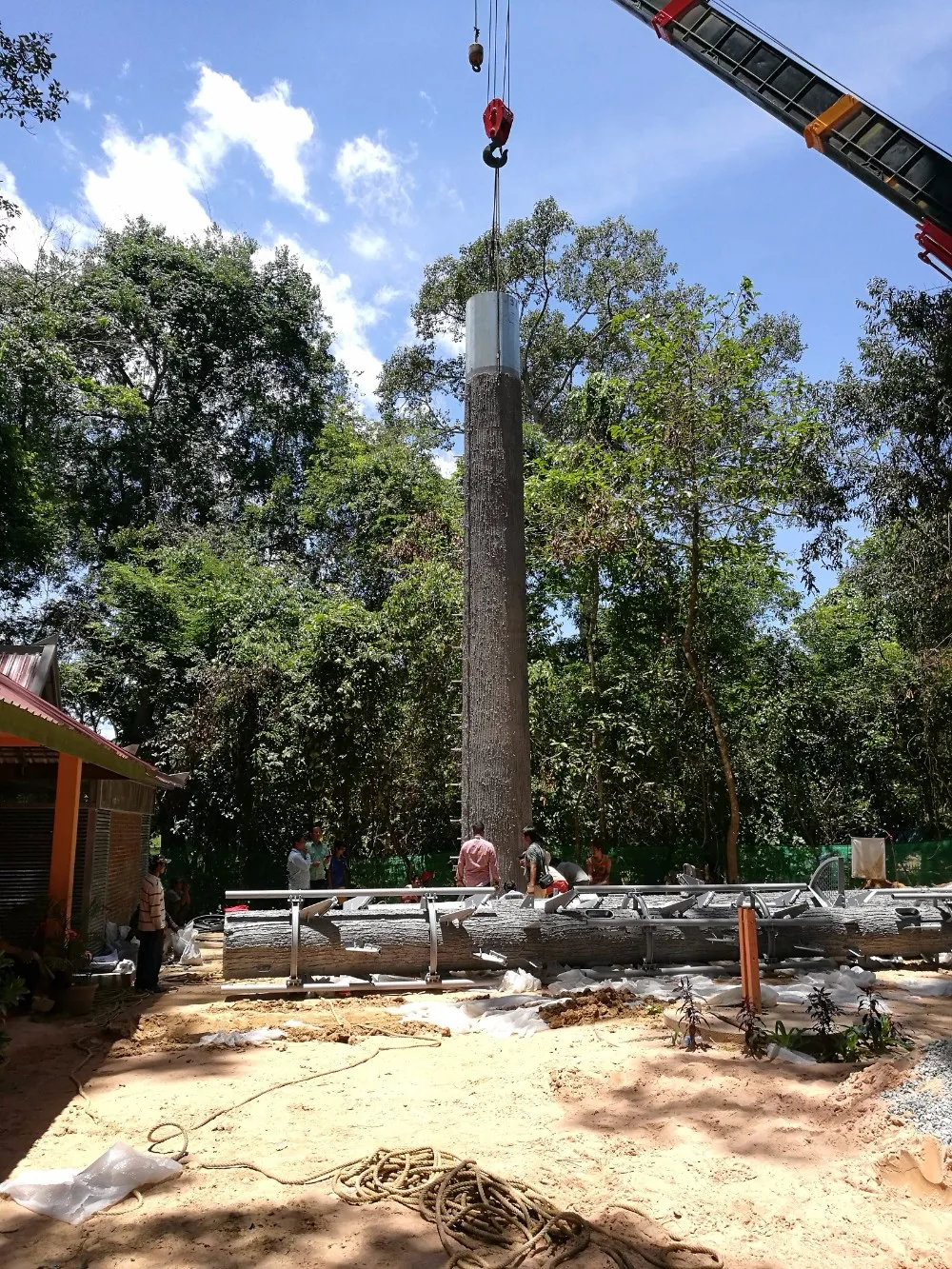 Disguised Cell Tower Monopine - Buy Camouflaged Pine Tree Tower ...