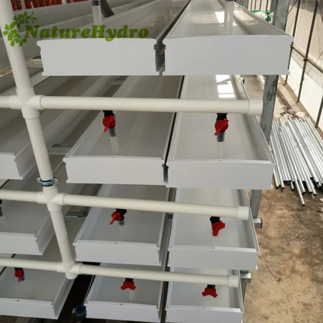 Hydroponic Fodder System/barley/oats/alfalfa Microgreen Growing System ...