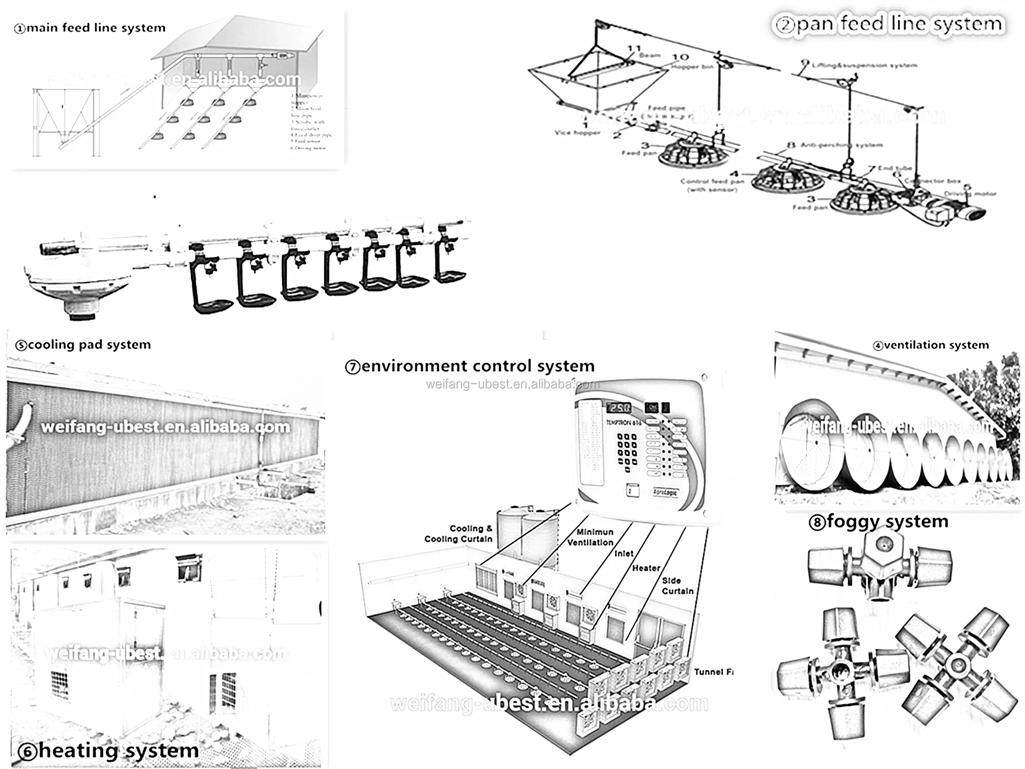 U-best Broiler Breeder Equipment - Efficient Chicken House Design