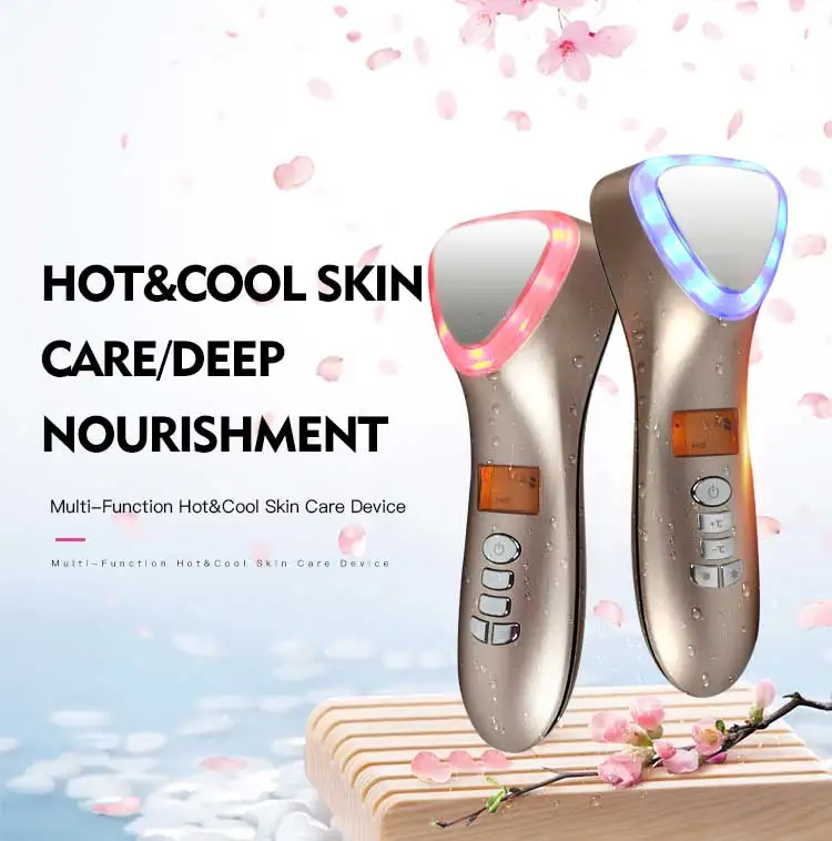 Home Facial Pro High Frequency Skin Care Ionic Ultrasonic Skin Care ...