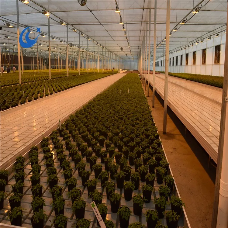 Aeroponic Greenhouses Plastic Flood Tray Ebb And Flow Table System ...