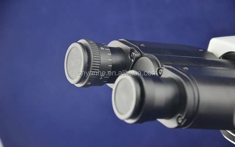 Bm1000 Cheap Biological Binocular Microscopes Prices - Buy Biological ...