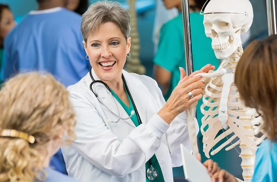 Medical Anatomy Medical Anatomical Human Life-size Skeleton Simulation ...