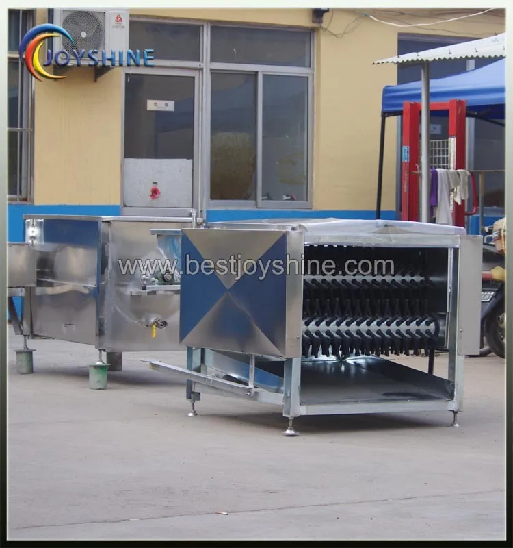 Chicken Scalding Plucking Machine - High Productivity