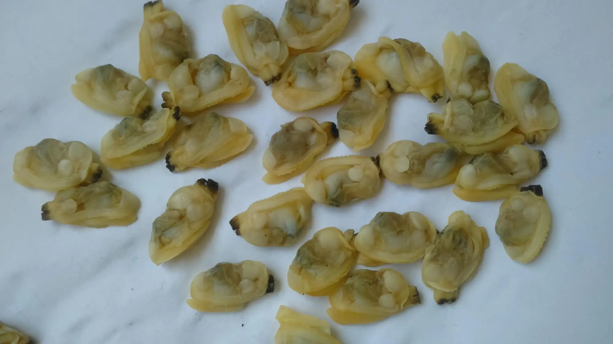 Free Of Sand Boiled Short Necked Clam Without Shell - Buy Boiled Short ...