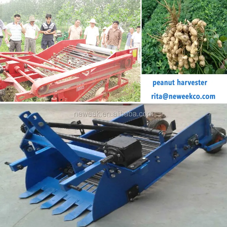Neweek Agricultural Machinery Tractor Driven Groundnut Peanut ...