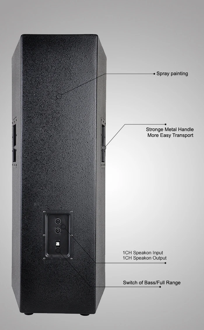 Accuracy Pro Audio WP215 Dual 15 Inch 3 Way Professional Outdoor Stage ...