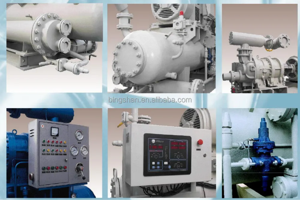 Bingshan Ammonia Screw Compressor for Efficient Cooling