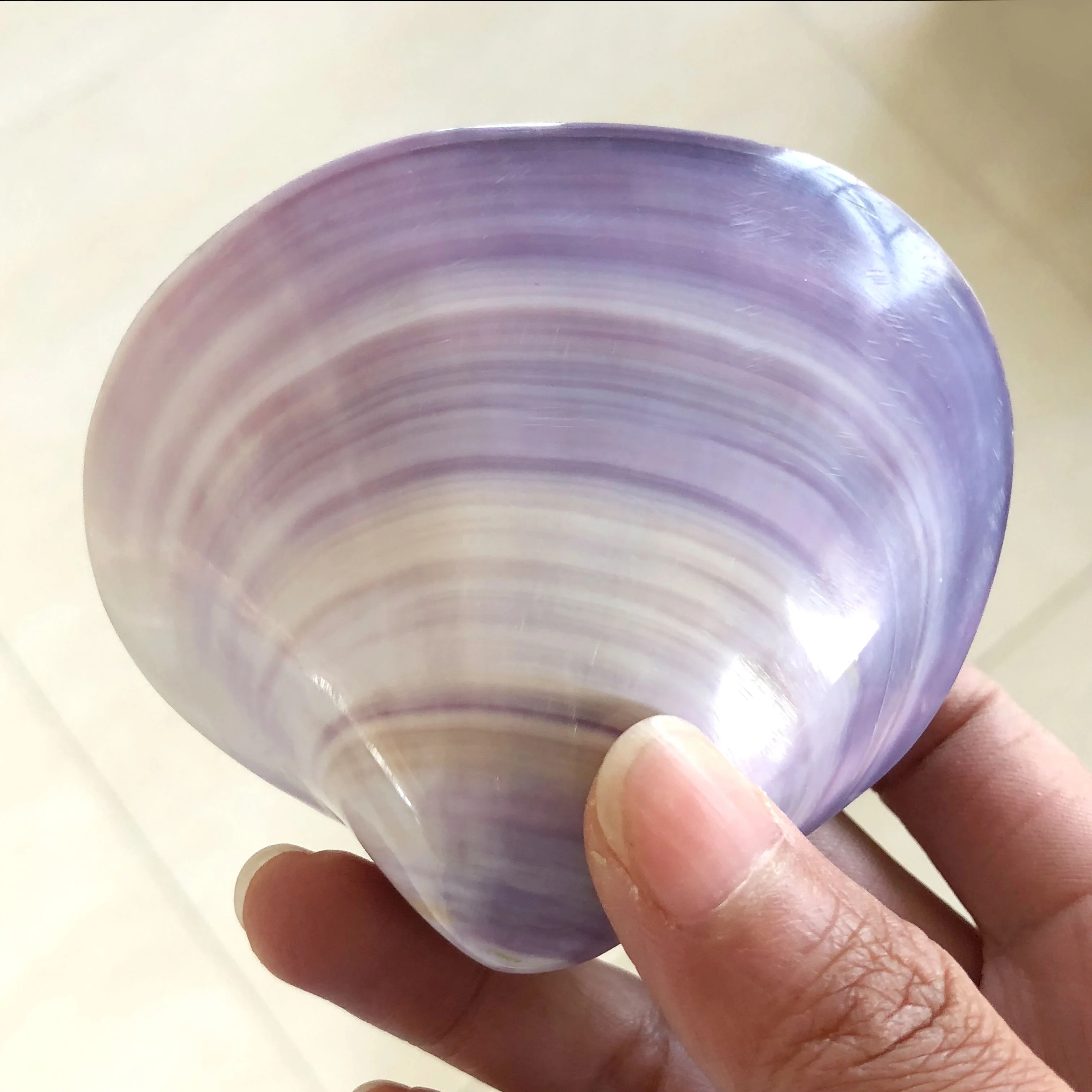 Bali Sea Natural Lava Shell Polished As A Carved Gift Empty Shell - Buy ...