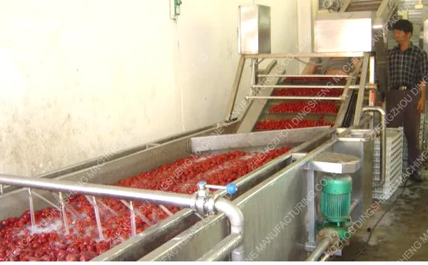 Food/vegetable And Fruit Processing Machine. Dried Fruit Cleaning ...