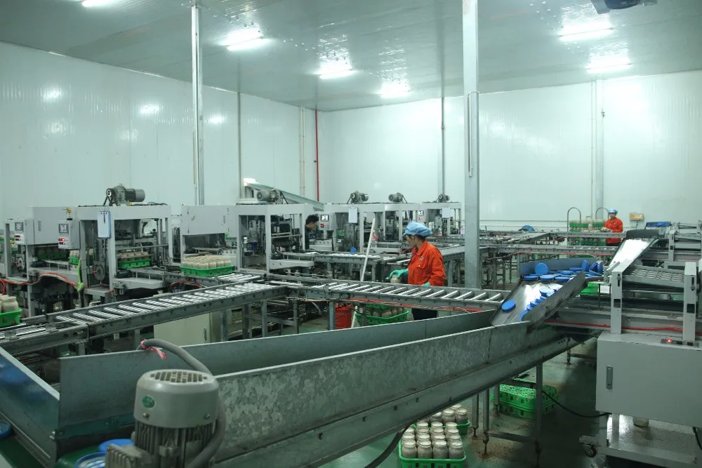 Cultivation Cold Storage - Ideal Mushroom Storage Solutions