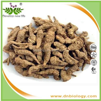 Rehmannia Root Extract / Radix Rehmanniae Preparata Extract / Rehmannia ...