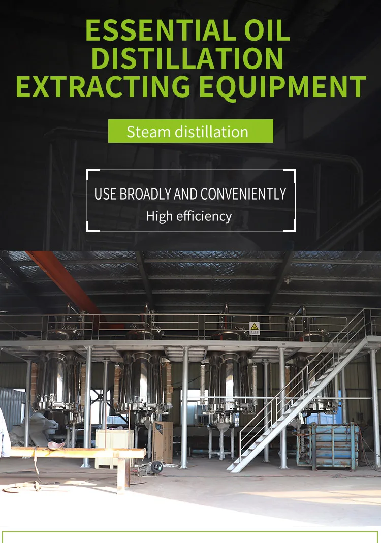 Mint Essential Oil Distillation Equipment - High Efficiency