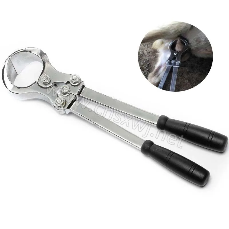 Wj505 Veterinary Instruments Burdizzo Clamps Castration Forceps - Buy ...