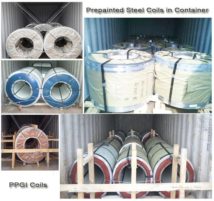 Ral 1025 Prepainted Galvanized Steel Coil Gi Ppgi Color Coil Sheet ...