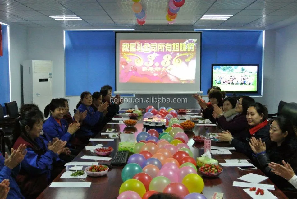 Alimak 450 High Rise Building Construction Elevator With Veichi Vfd For ...