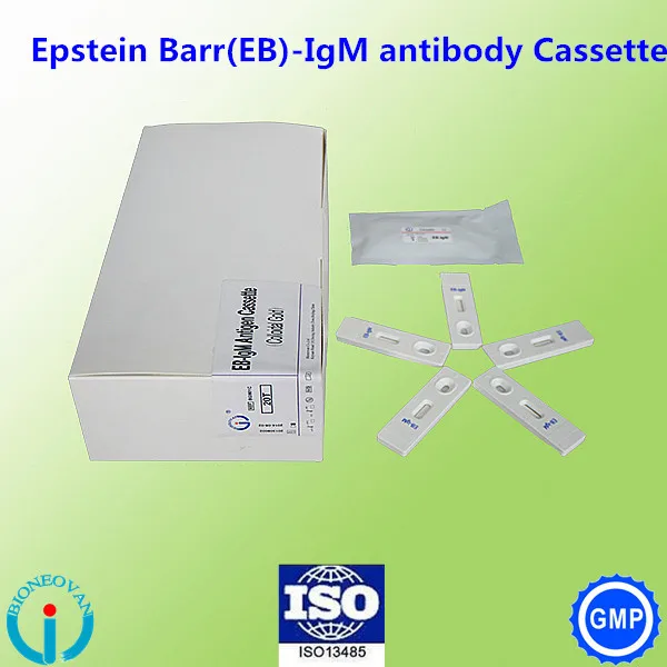 Epstein-barr Virus Rapid Test /ebv Rapid Test Kits With Accuracy Over ...