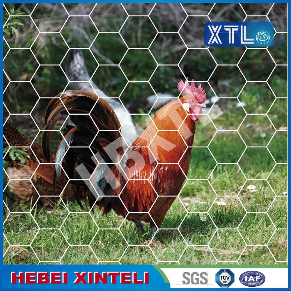 Hexagonal Chicken Wire Mesh - Buy Chicken Wire Mesh,Stainless Steel ...