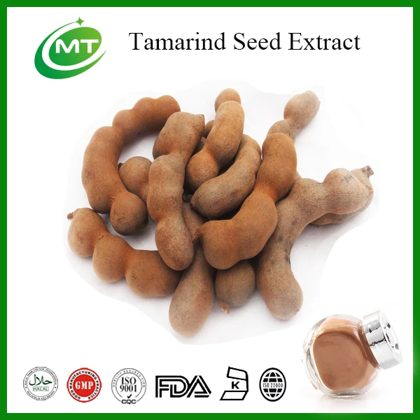 Health Care Tamarind Seed Extract/tamarind Powder/tamarind Seed Powder ...