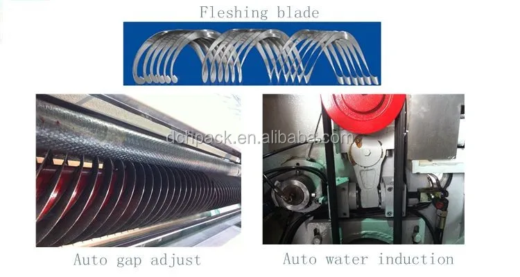 1500mm Tannery Fleshing Machine - Efficient Leather Processing