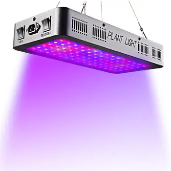 Microgreens Growing Kit Grow And Bloom Led Light 600w 800w 1200w Led ...