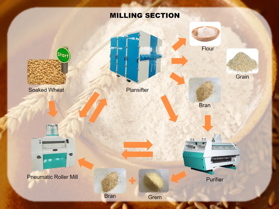 100T Wheat Flour Mill Plant - Burt Machinery