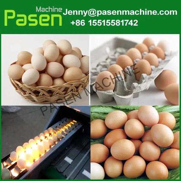 Good Price Egg Grader/egg Sorting Machine/egg Weight Grader Machine ...