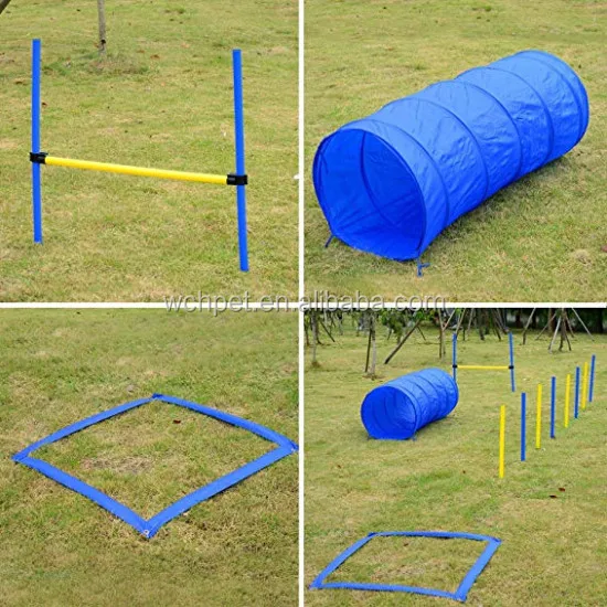 Obstacle Backyard Competitive Dog Agility Training Course Kit Blue ...