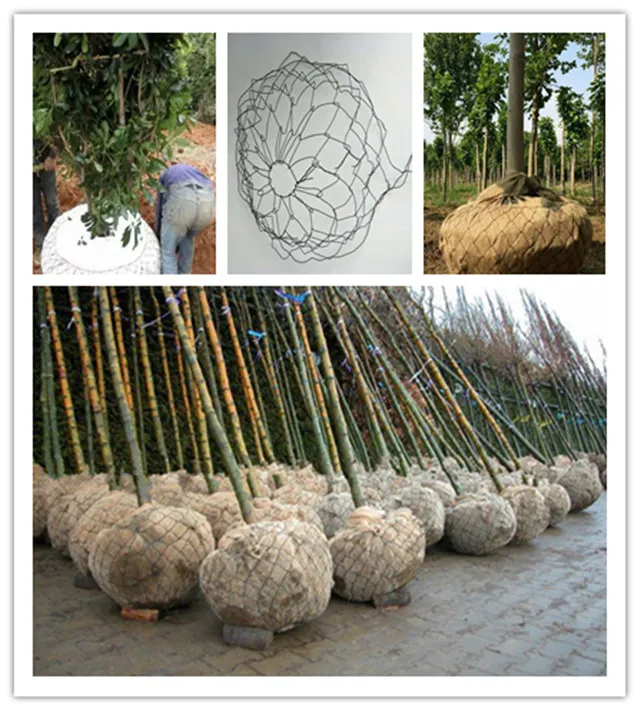 Eco-friendly Twisted Root Ball Wire Mesh Baskets - Buy Root Ball Wire ...