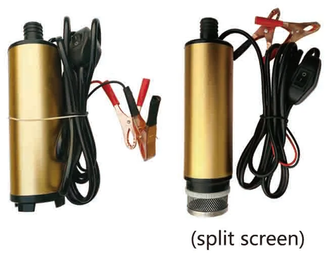 12v Dc Micro Dc Oil Pump Pressure Diesel Fuel Transfer Water Oil Small ...