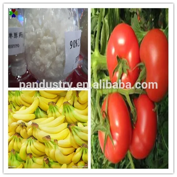 Fruit Ripening Agent Panpan Rubber Ethephon 85% Technical Manufacture ...