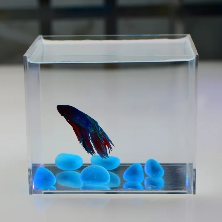 Custom Table Plexi Glass Aquarium Fish Tank - Small Size