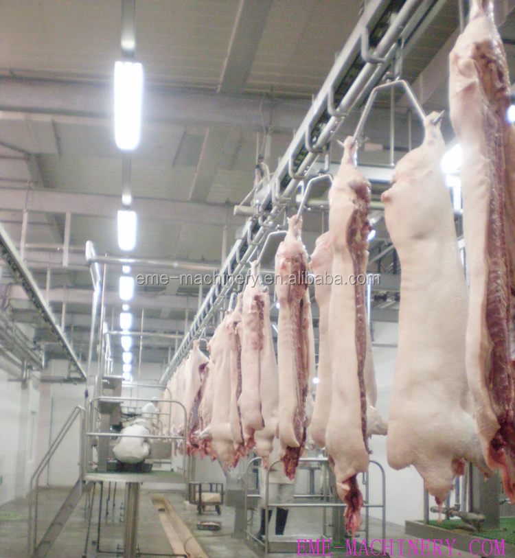 Pig Slaughterhouse Equipment Processing Conveyor For Butcher Machine ...