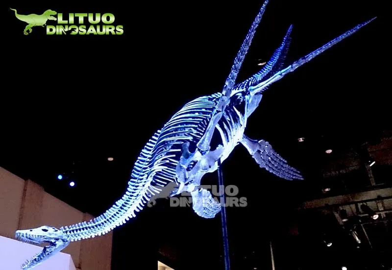 Simulation Life Size Plesiosaur Skeleton For Sale - Buy Plesiosaur ...