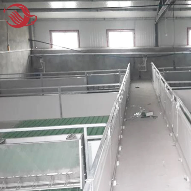 Piggery Cage / Organic Pig Farming / Breeding Crate for Pigs Wholesale ...