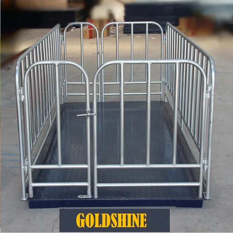 Pig Kit Cattle Chute - Portable Livestock Scales for Sale