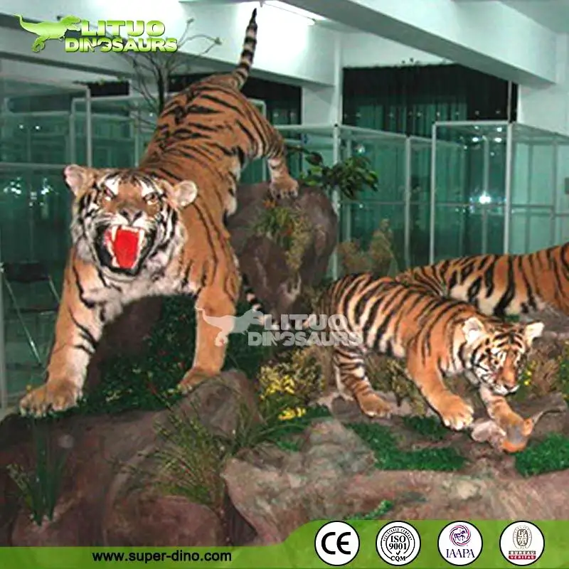 Real Animal Model Tiger Life Size - Buy Real Tiger tiger Life Size ...