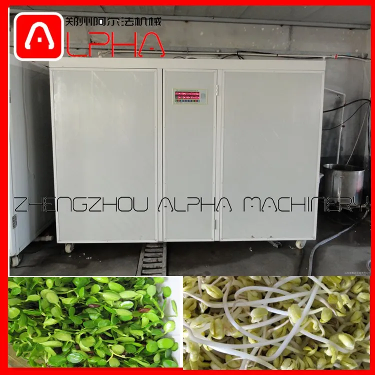Automatic Mung Bean Sprout Machine/green Mung Bean Machine/soybean ...