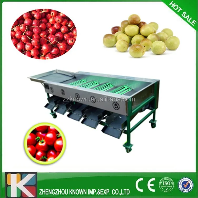 Oem Apple Fruit Sorting Machine/potato Sorting Machine / Fruit Grader ...